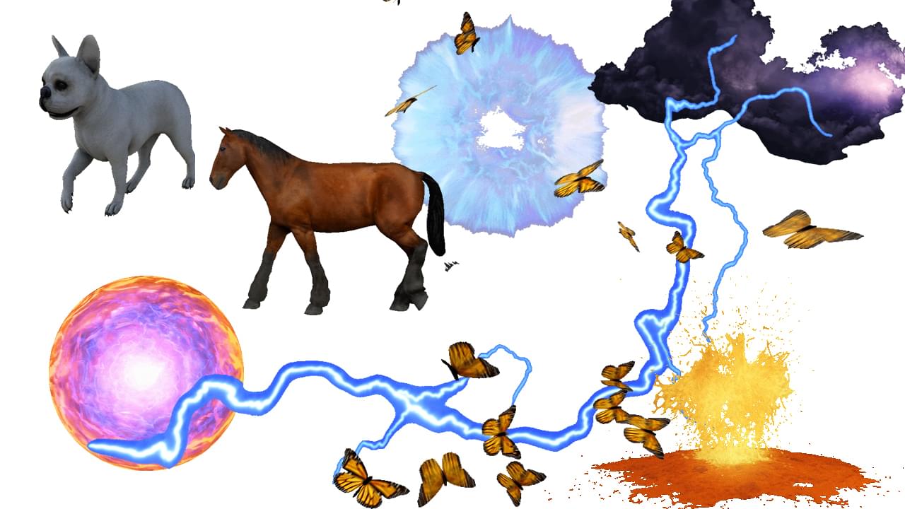 Teleplay Special Offer